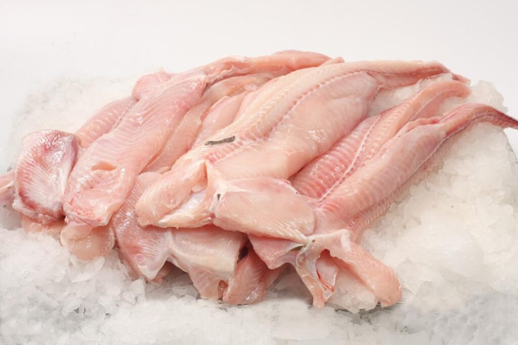 🐟 Pollo de Mar: el pescado sin espinas que conquista todas las mesas