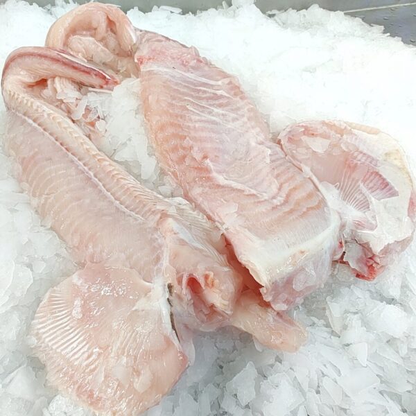 🐟 Pollo de Mar: el pescado sin espinas que conquista todas las mesas